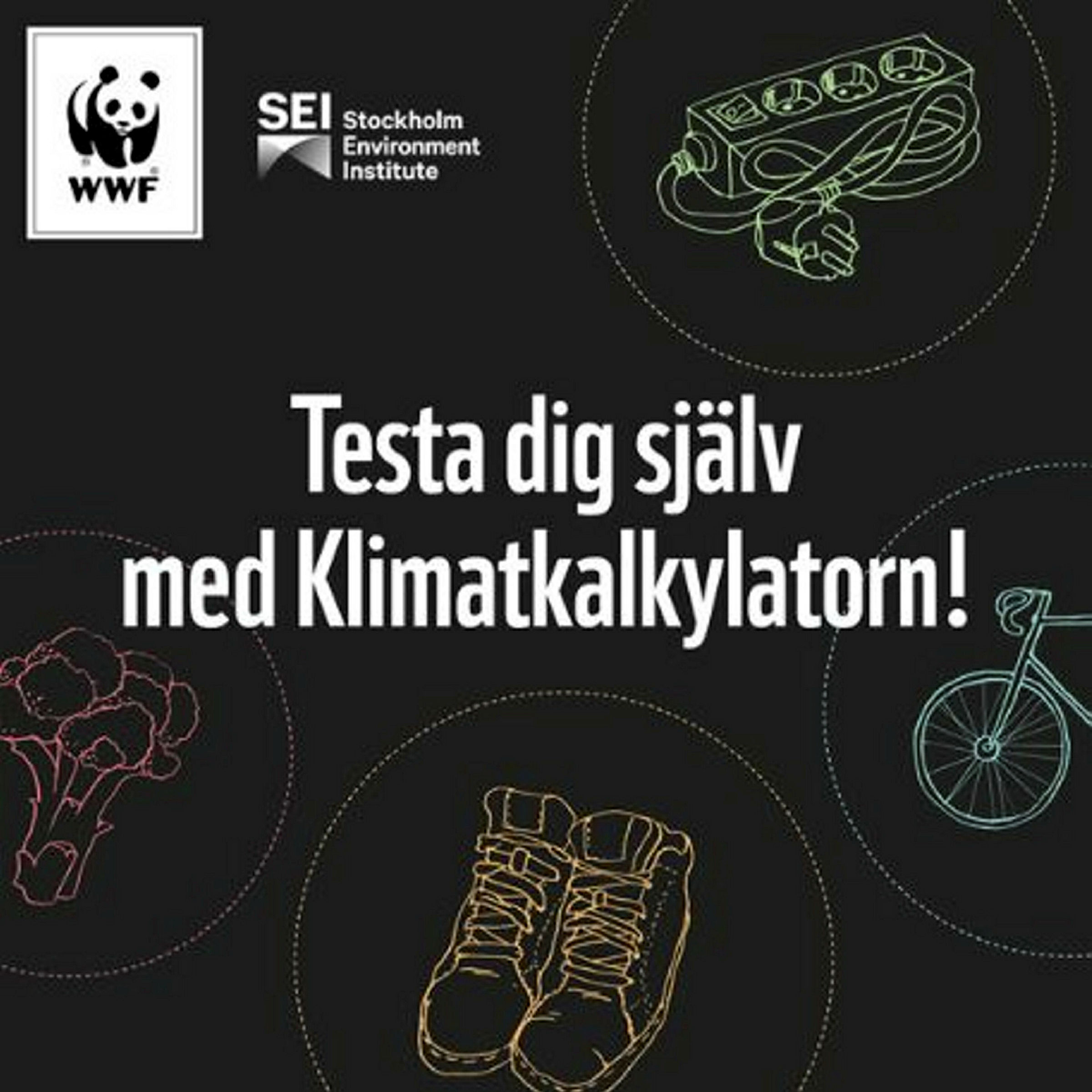 Ekologiskt fotavtryck - vad är det? - Slöjd & Byggnadsvård