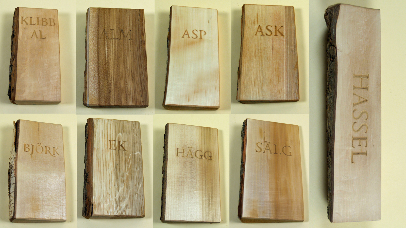 Olika träslag och dess egenskaper - Slöjd & Byggnadsvård