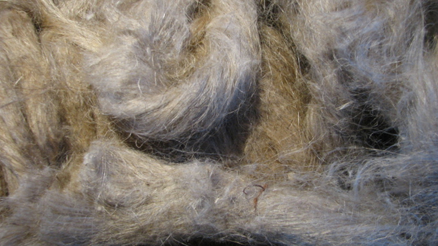 Invändiga ytskikt - Slöjd & Byggnadsvård